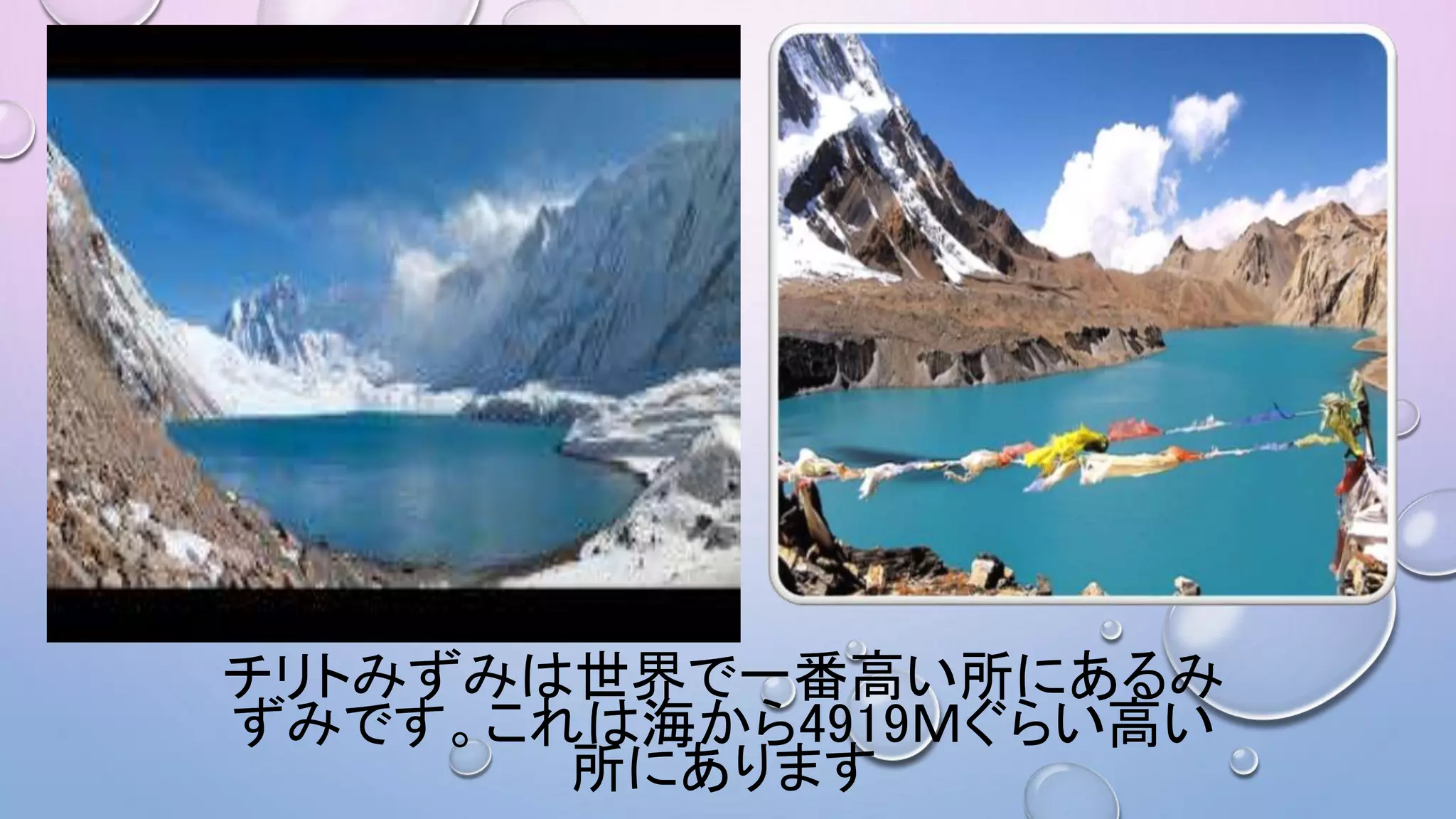 Presentation (2) | PPT