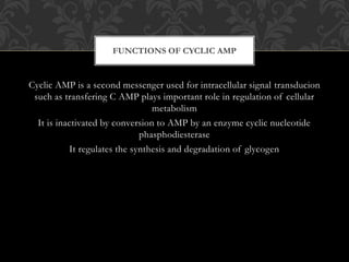 bioenergetics | PPTX