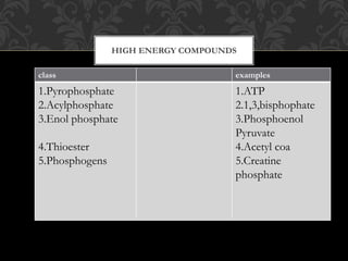 bioenergetics | PPTX