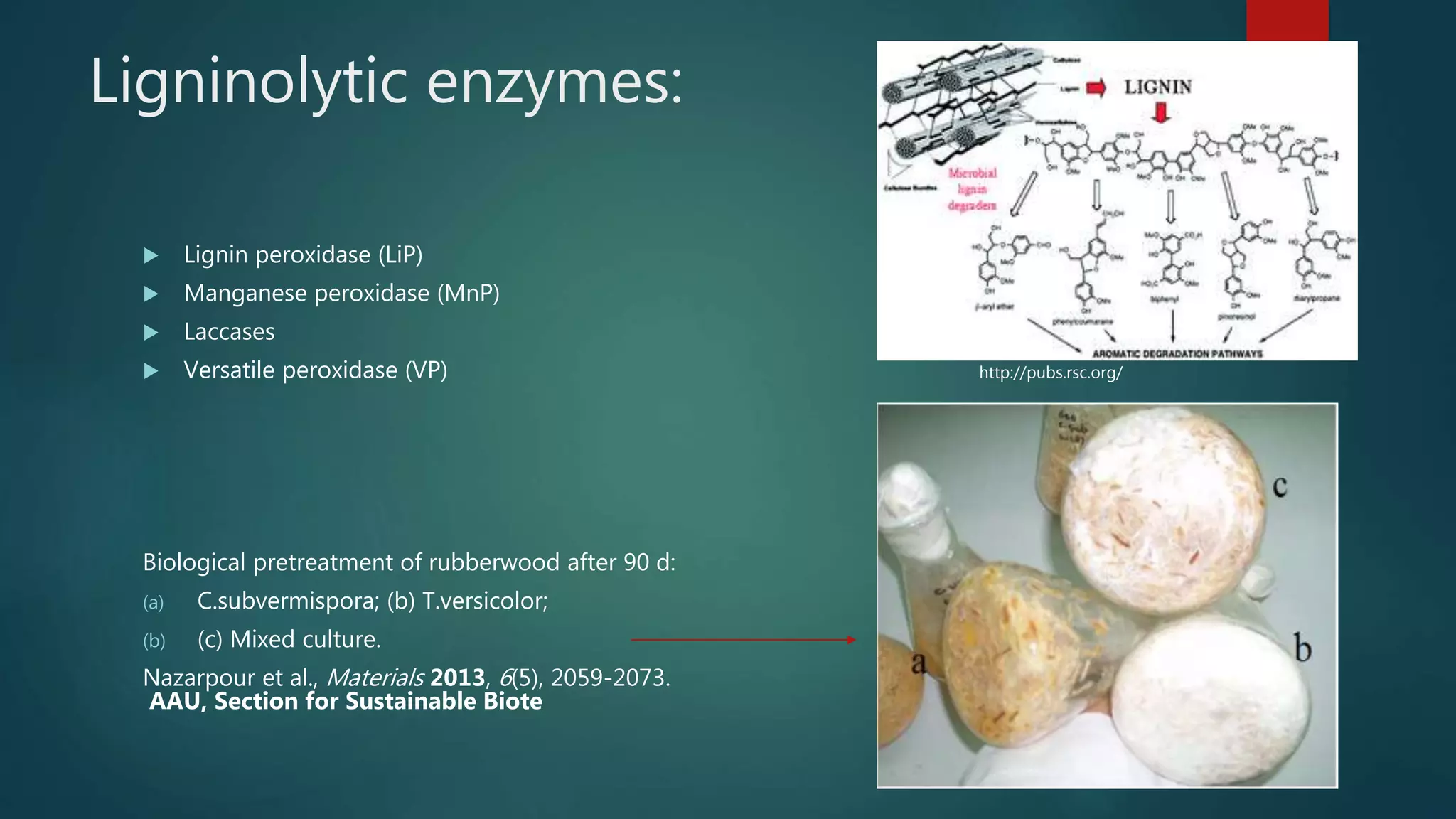 Fungal pretreatment of lignocellulosic biomass | PPTX