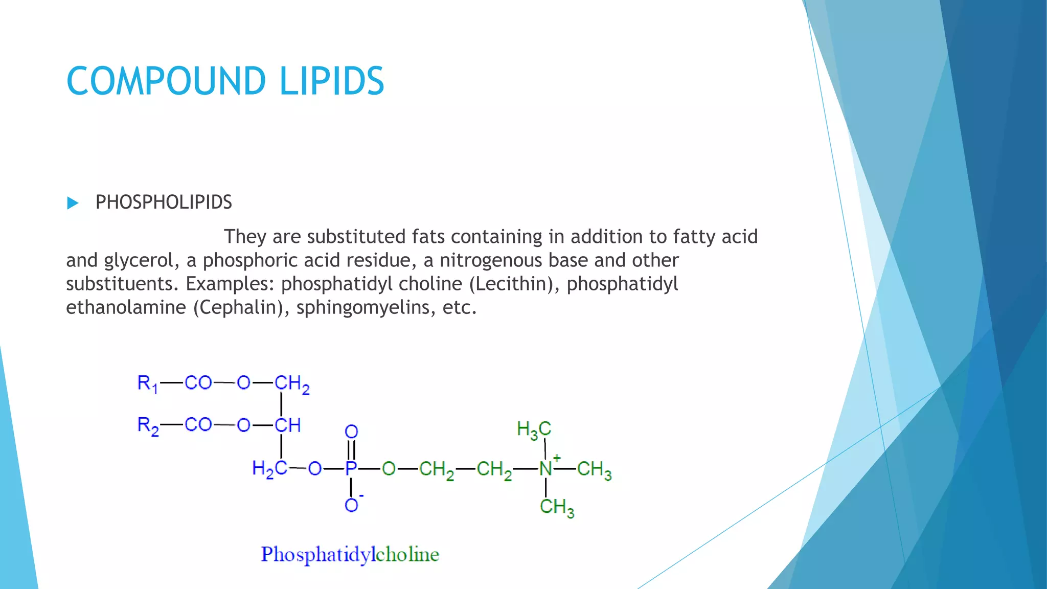 INTRODUCTION TO LIPIDS | PPTX
