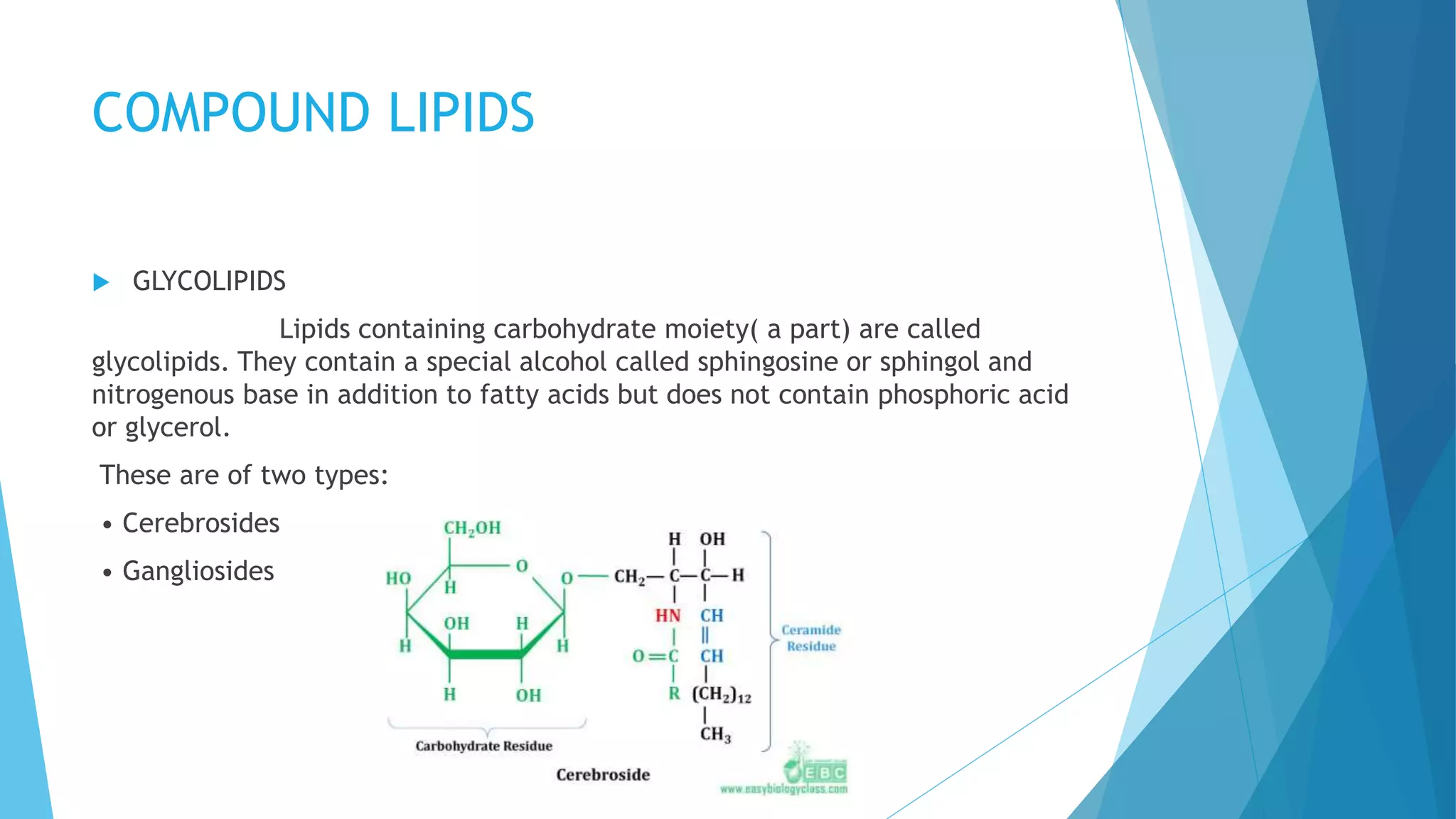 INTRODUCTION TO LIPIDS | PPTX
