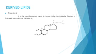 INTRODUCTION TO LIPIDS | PPTX