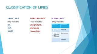 INTRODUCTION TO LIPIDS | PPTX