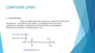 INTRODUCTION TO LIPIDS | PPTX