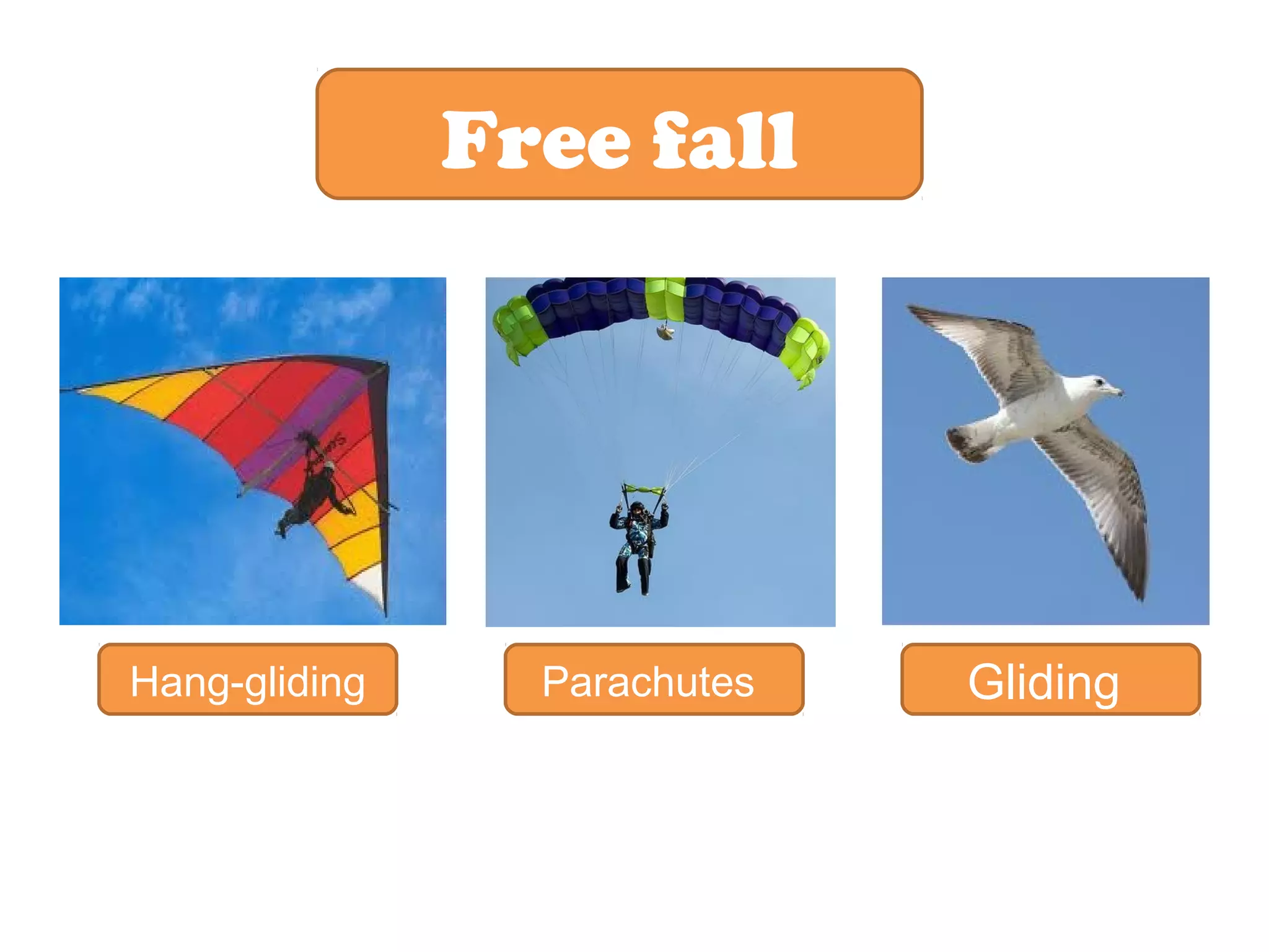 forces Presentation 2 | PPT