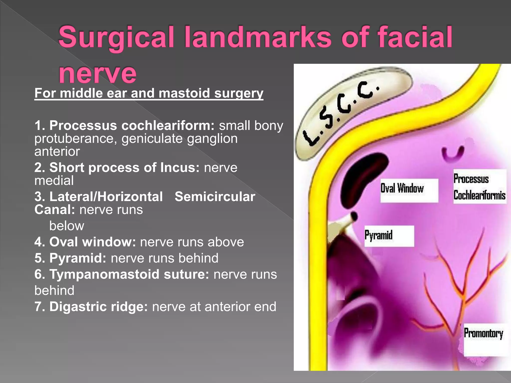 Applied surgical anatomy of facial nerve in oral and maxillofacial ...