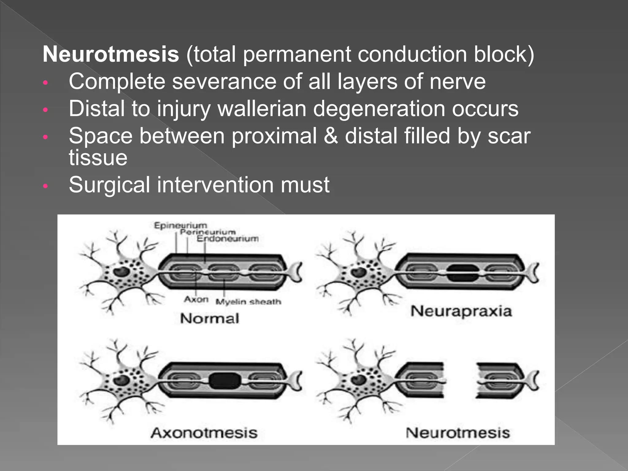 Applied surgical anatomy of facial nerve in oral and maxillofacial ...