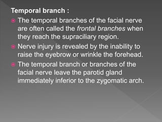 Applied surgical anatomy of facial nerve in oral and maxillofacial ...
