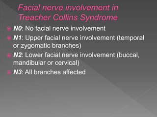 Applied surgical anatomy of facial nerve in oral and maxillofacial ...