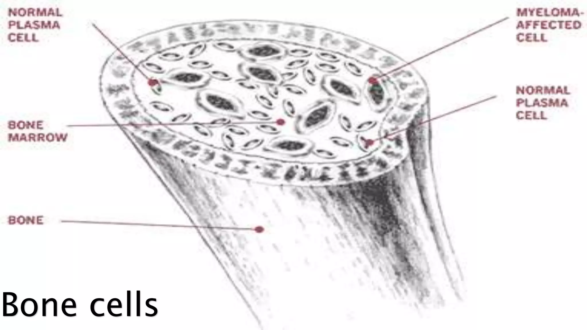 Biology (cells) grade 7 | PPTX
