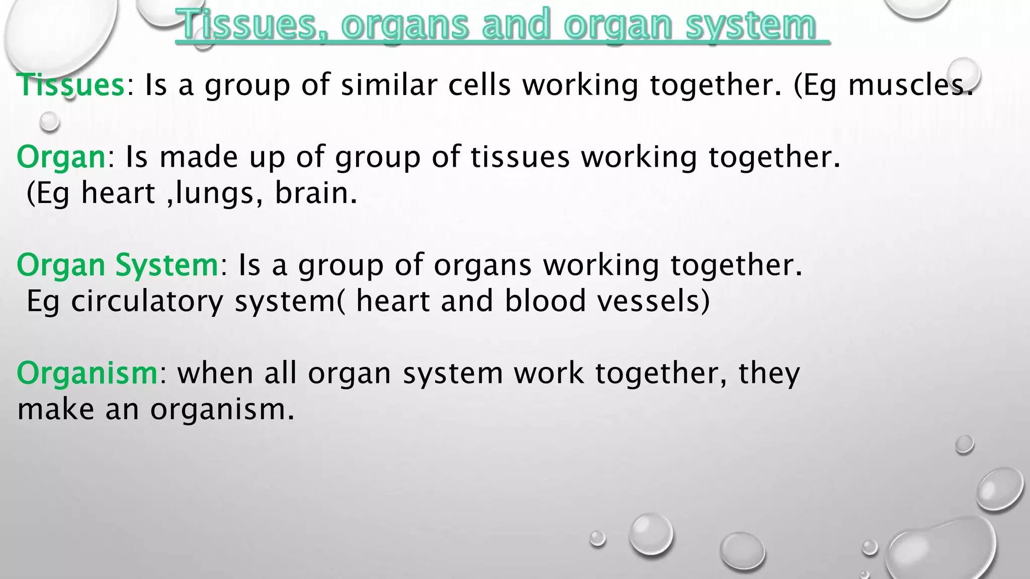 Biology (cells) grade 7 | PPTX