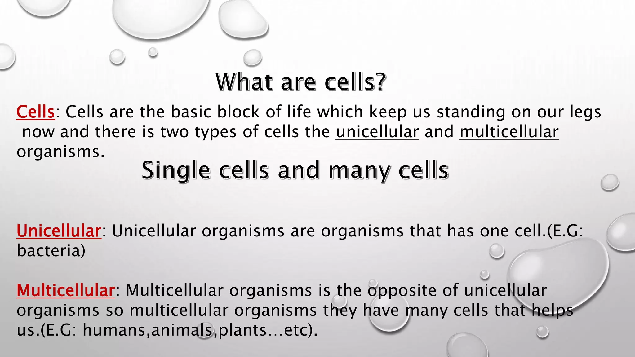 Biology (cells) grade 7 | PPTX