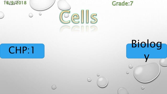 Biology (cells) grade 7 | PPTX