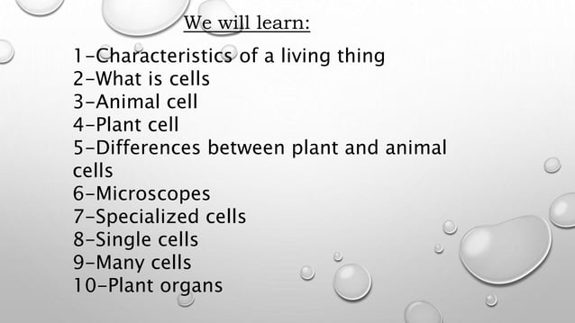 Biology (cells) grade 7 | PPTX