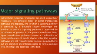 CELL SIGNALING | PPTX