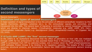 CELL SIGNALING | PPTX