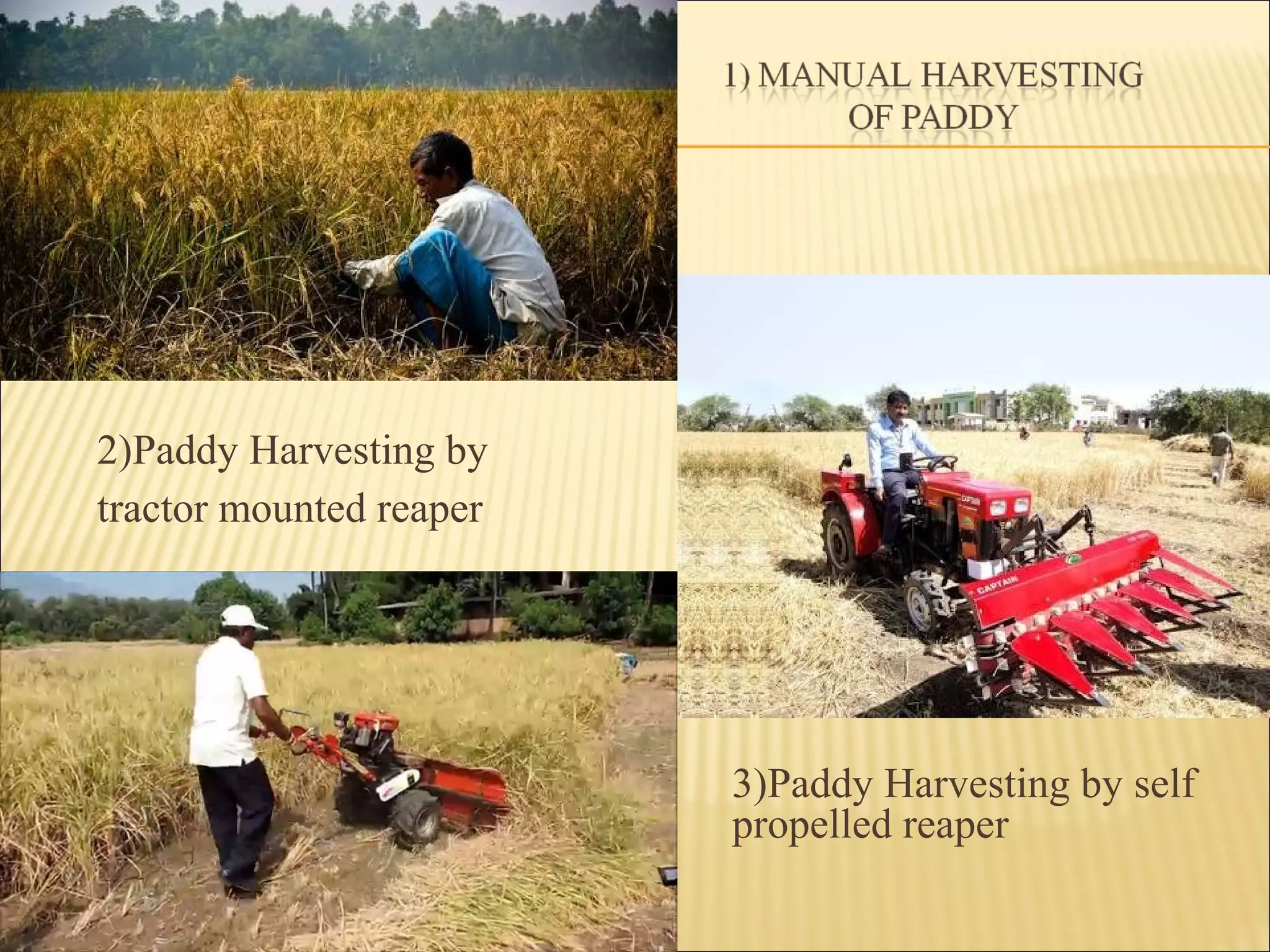 Case Study on mechanization in cultivation of paddy crop in gujarat ...