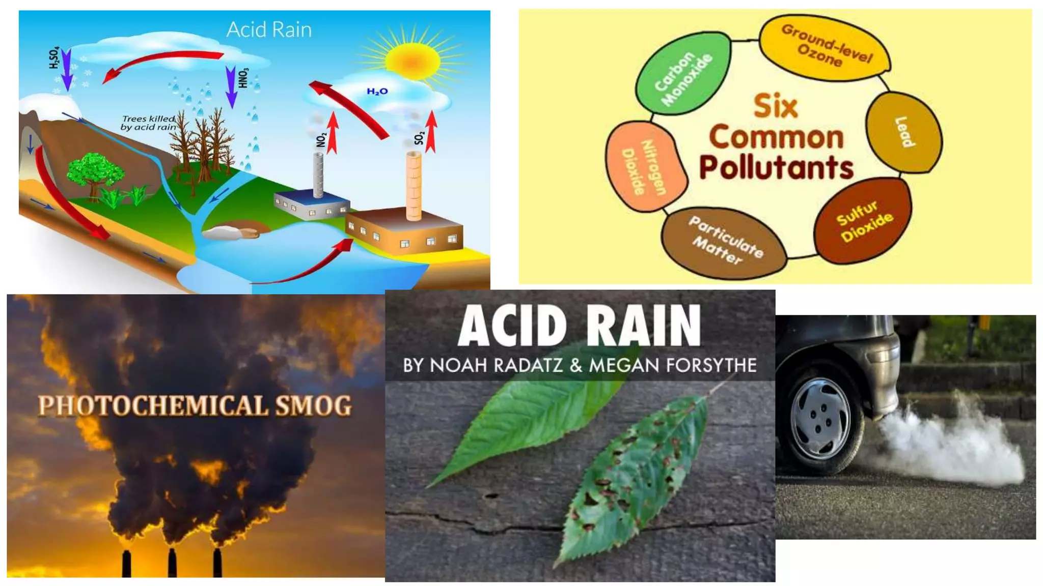 pollution and its effects | PPT
