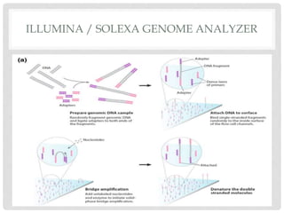 next generation sequemcing | PPT