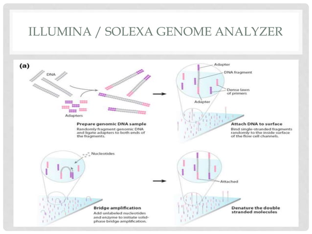 next generation sequemcing | PPT