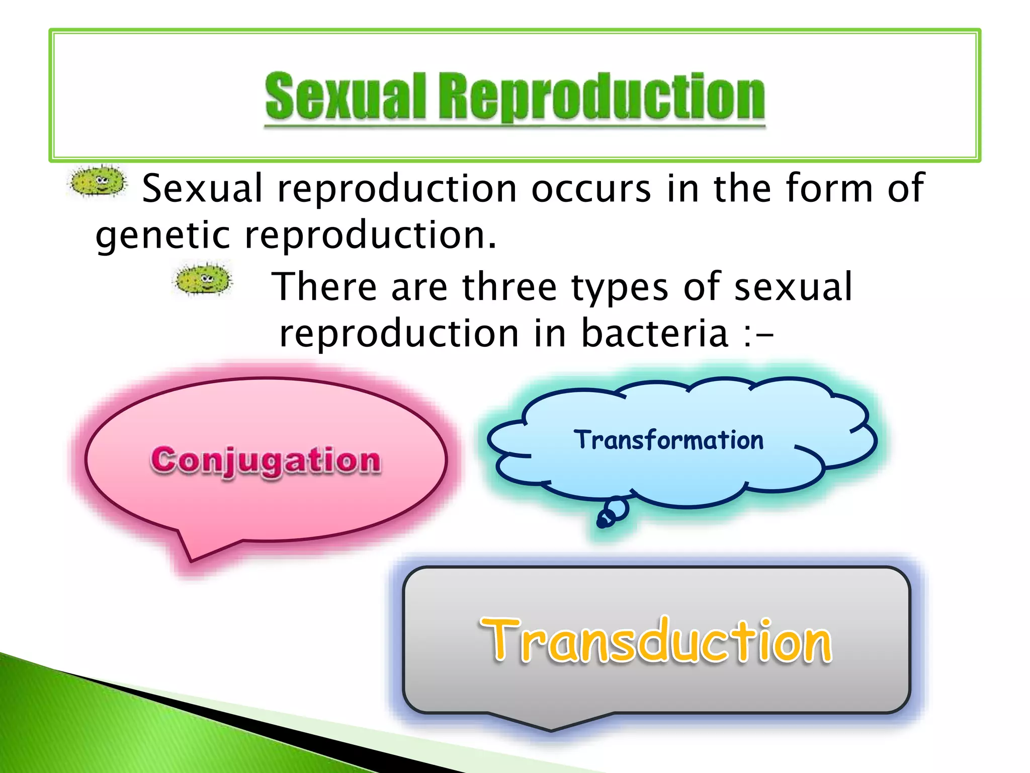 Sexual Reproduction In Bacteria | PPTX