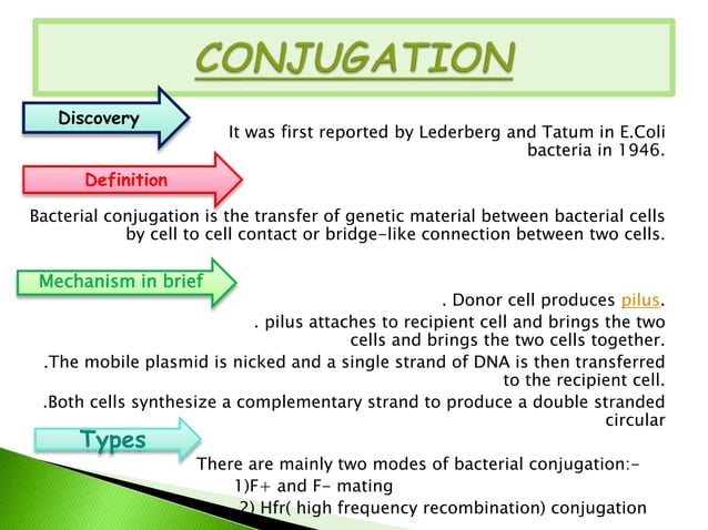 Sexual Reproduction In Bacteria Pptx