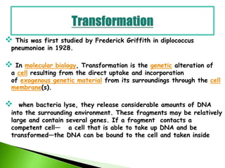 Sexual Reproduction In Bacteria | PPTX