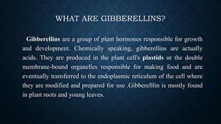 Gibberellin regulation | PPT