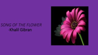 Presentation 2 | PPT