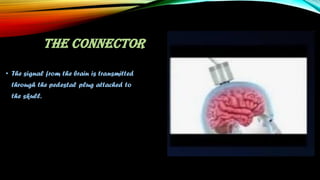 Presentation (2) | PDF