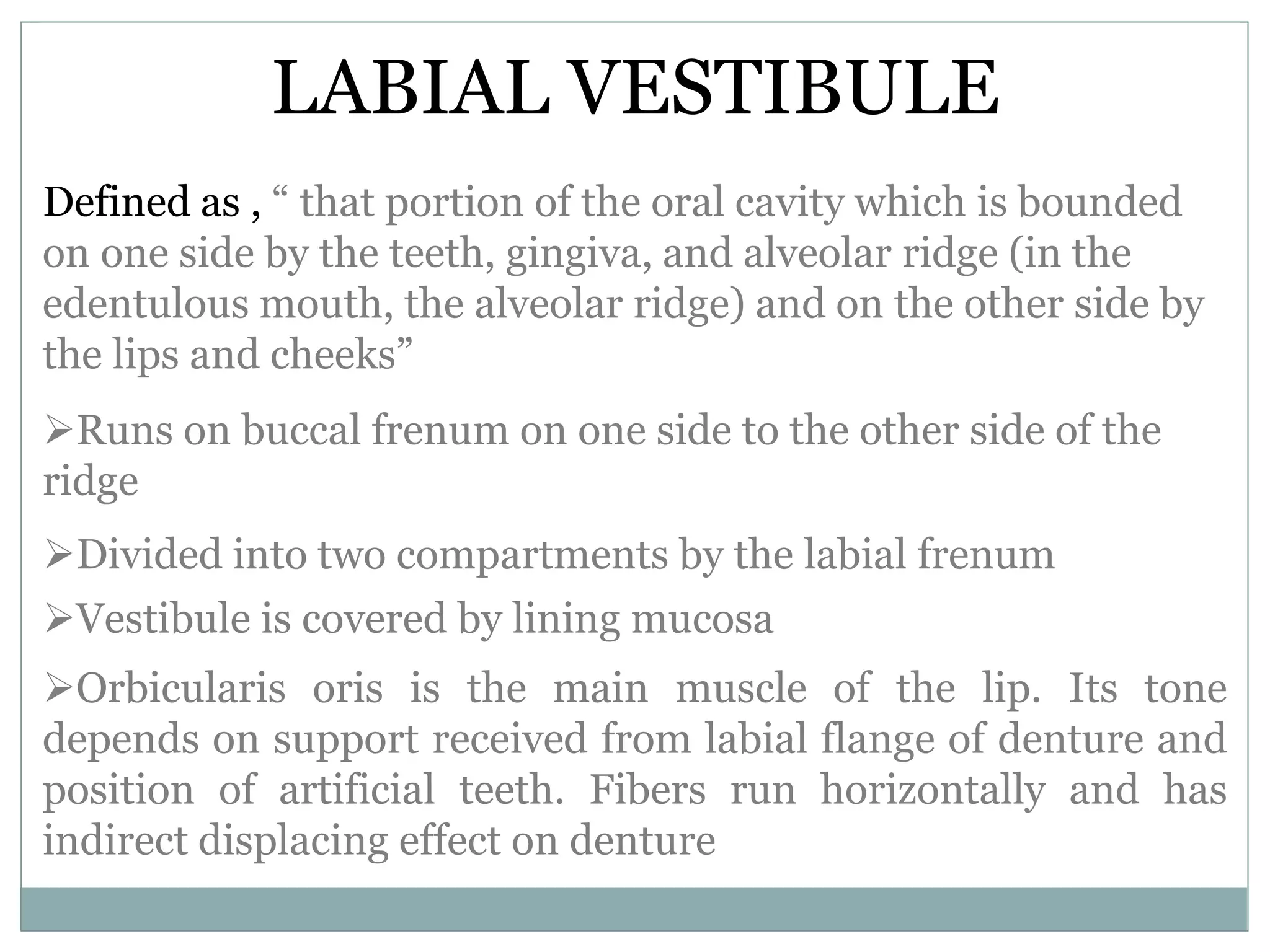 ANATOMICAL LANDMARKS OF MAXILLA | PPTX