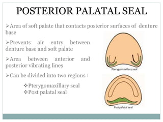 ANATOMICAL LANDMARKS OF MAXILLA | PPTX