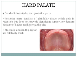 ANATOMICAL LANDMARKS OF MAXILLA | PPTX
