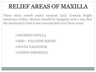 ANATOMICAL LANDMARKS OF MAXILLA | PPTX