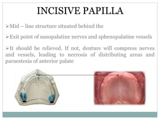 ANATOMICAL LANDMARKS OF MAXILLA | PPTX