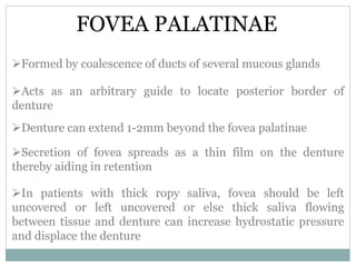 ANATOMICAL LANDMARKS OF MAXILLA | PPTX