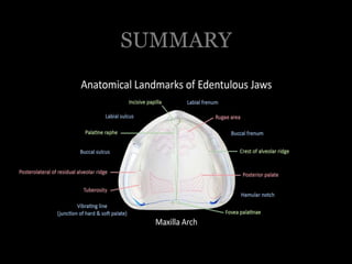 ANATOMICAL LANDMARKS OF MAXILLA | PPTX