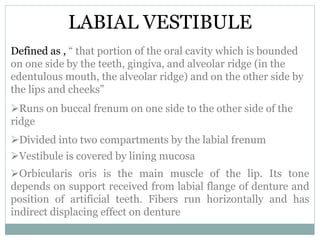 ANATOMICAL LANDMARKS OF MAXILLA | PPTX