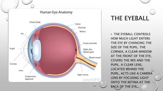 Presentation 2 | PPT