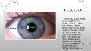 Presentation 2 | PPT