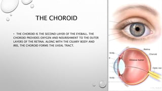 Presentation 2 | PPT