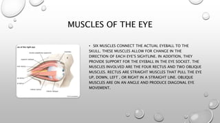 Presentation 2 | PPT