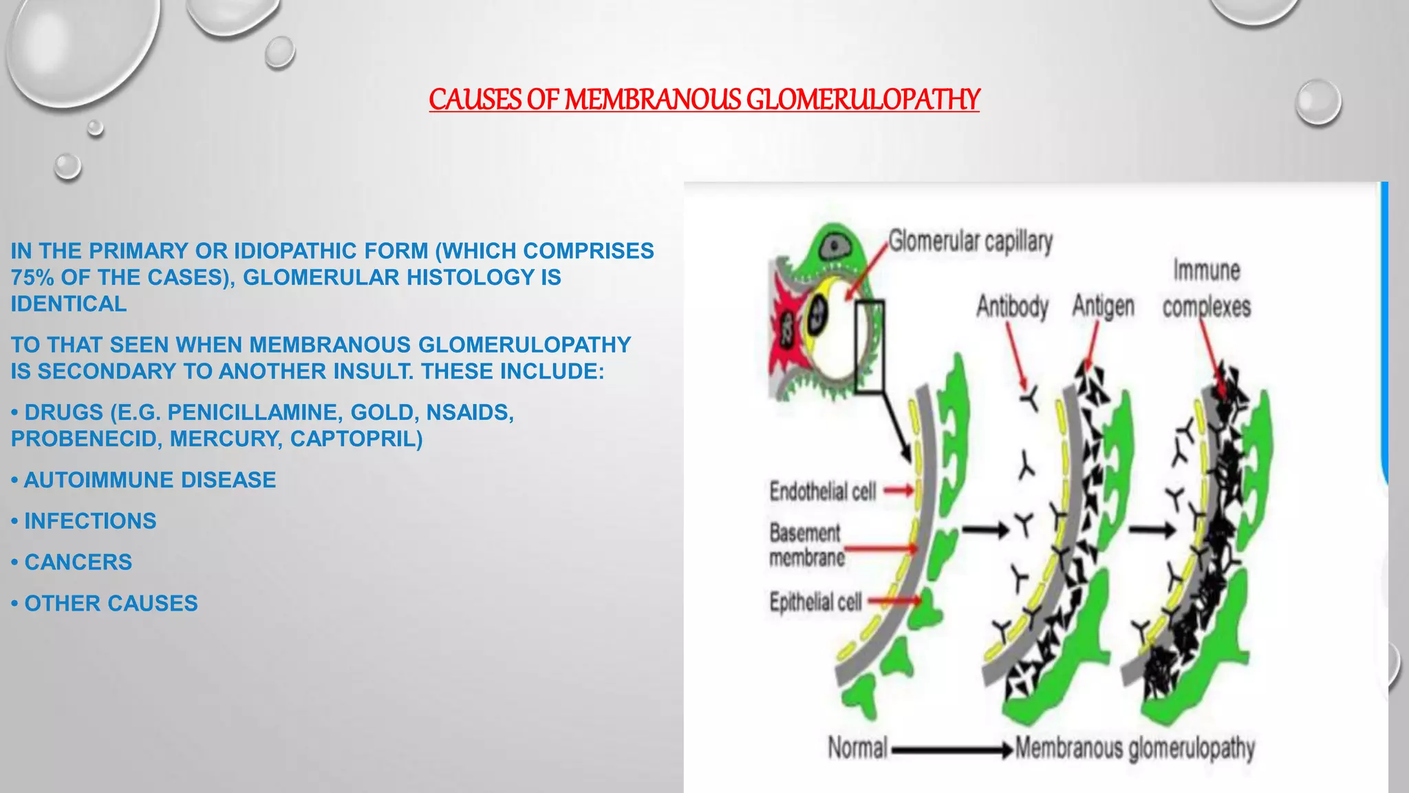 nephrotic and nephritic syndrome | PPTX