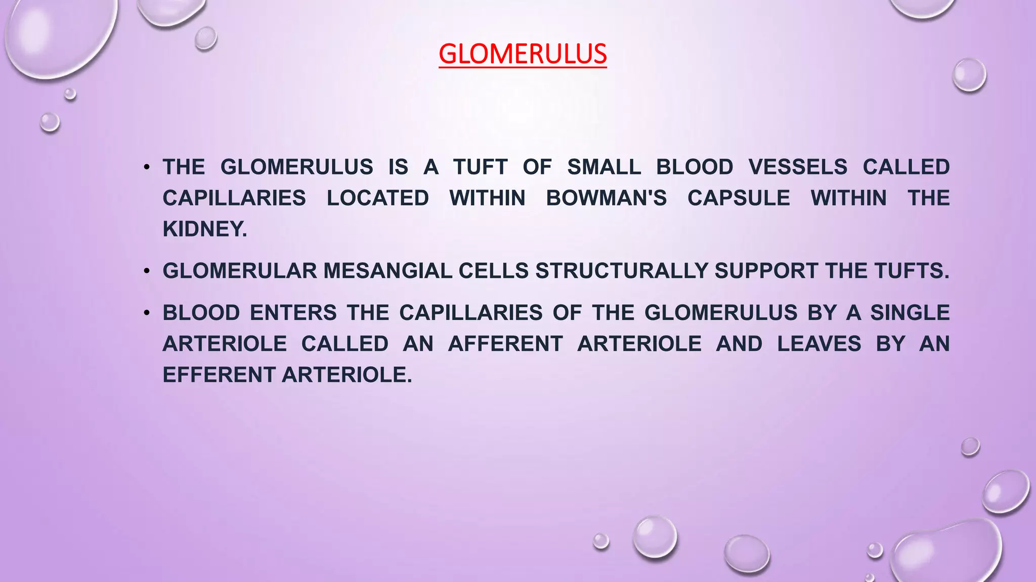 nephrotic and nephritic syndrome | PPTX