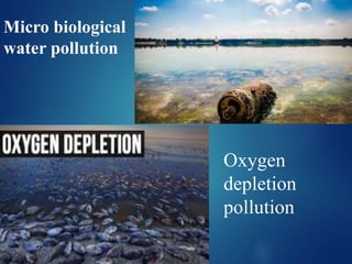 Oxygen Depletion Pollution