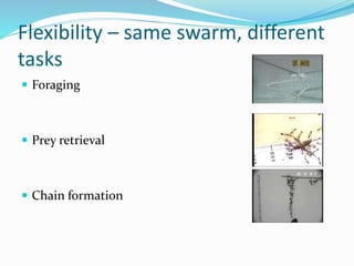 Swarm Robotics Motivation to Inspiration | PPTX