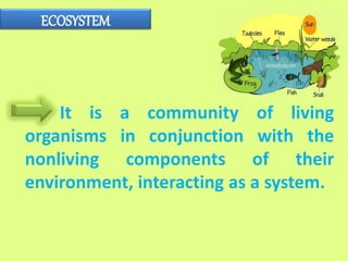 ecosystem | PPT