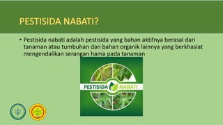 Manfaat Rokok? | PPTX