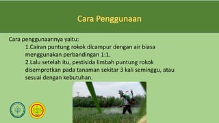 Manfaat Rokok? | PPTX